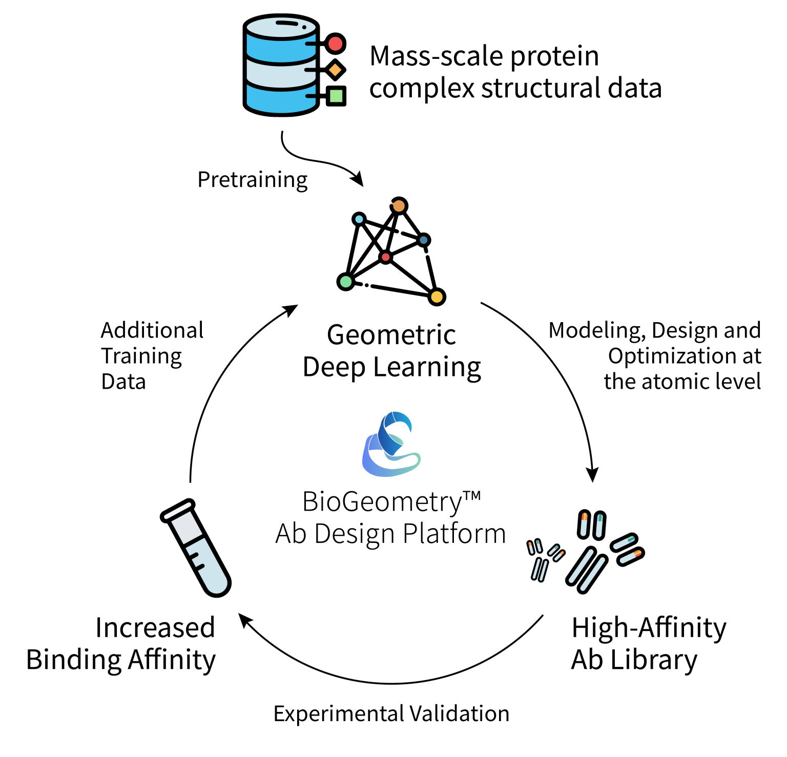 BioGeometry Takes the Lead in Antibody Affinity Optimization – BioGeometry