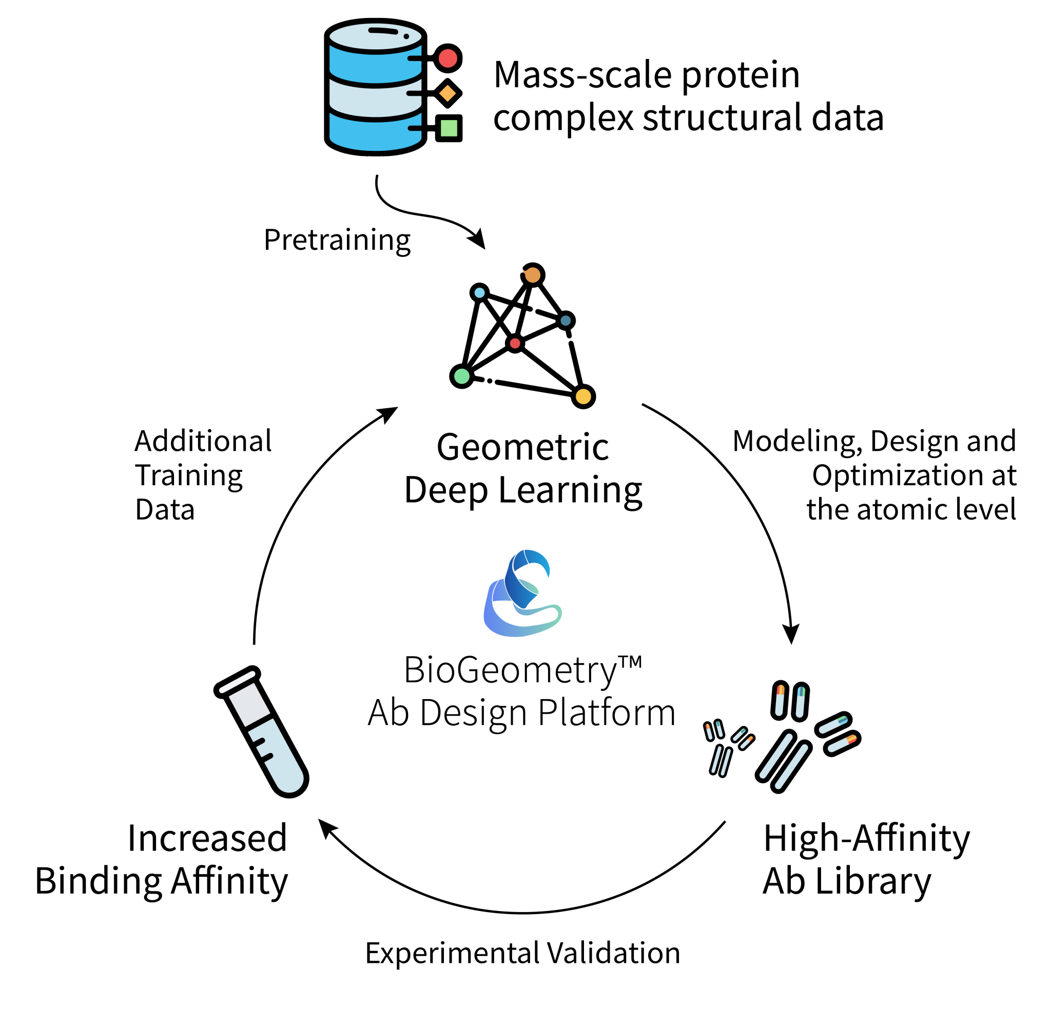 BioGeometry Takes the Lead in Antibody Affinity Optimization – BioGeometry